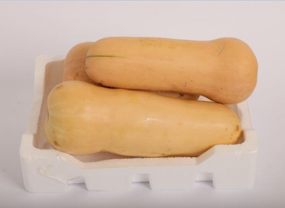 قرع امريكي فلين 2.2كجم طبيعي